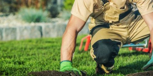 Residential Landscaping – Elite Service Experts